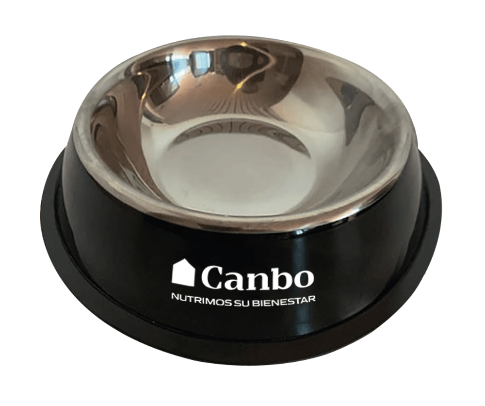 Plato de Metal para gato