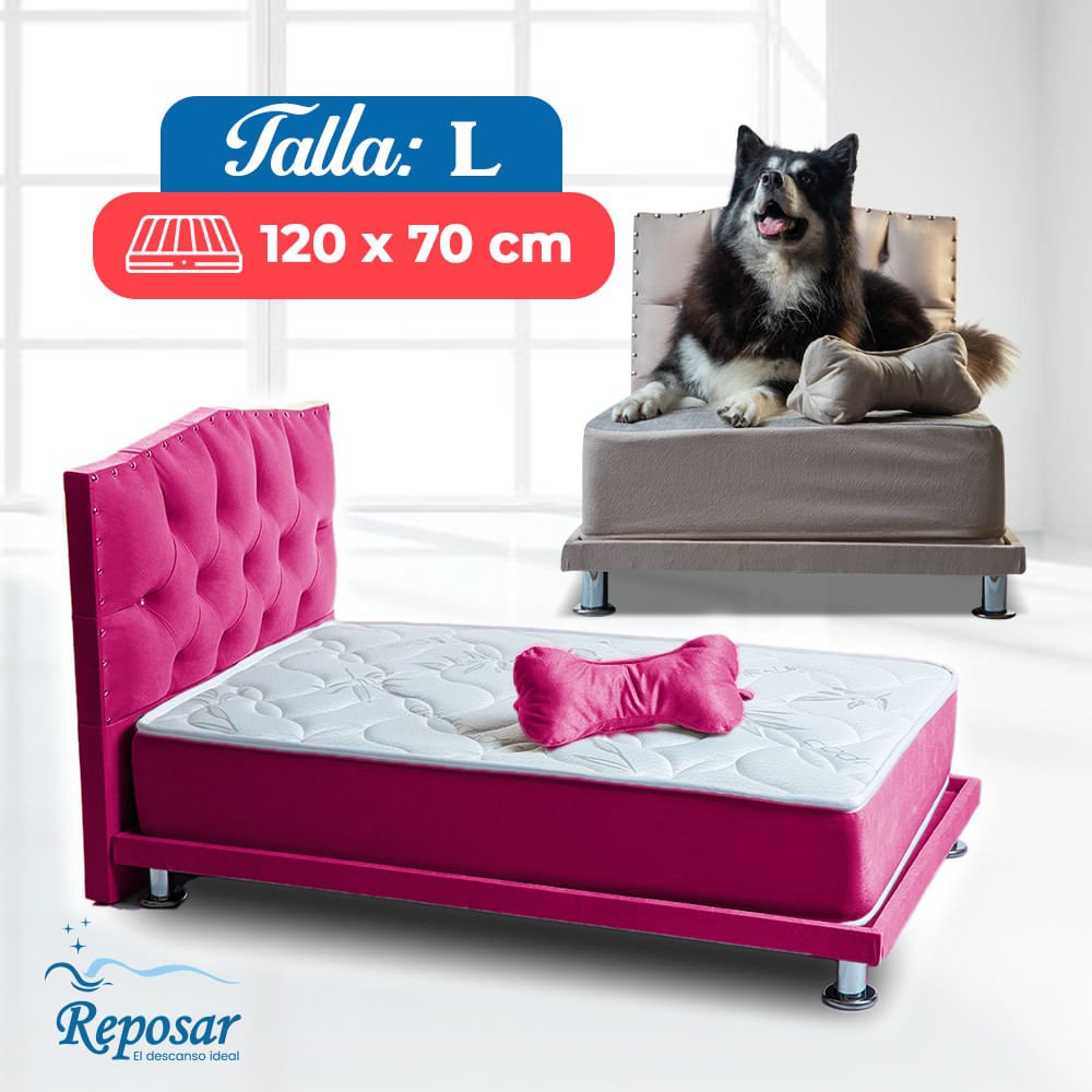 Reposar Cama Perro Premium Combo Completo Talla L - Tienda GO Pet Online