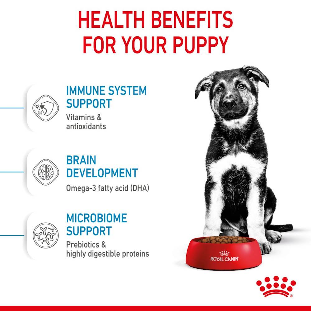 Royal Canin SHN Maxi Puppy 15 Kg - Cachorro Raza Grande - Tienda Go Pet ...